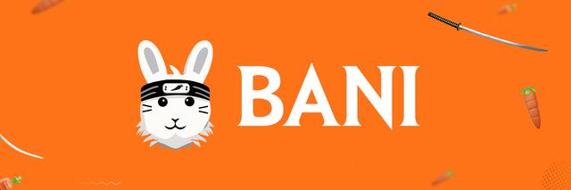 REAL BANI | airdrop.io